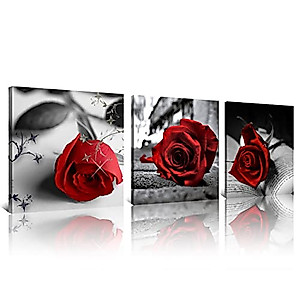 NAN Wind Canvas Print 3 Pcs Black and White Red Rose Canvas Art Painting Abstract Wall Art Decorations Flower Picture on Canvas for Home Decor Stretched and Framed