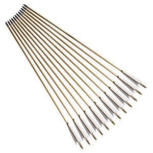e5e10 12Pcs 33.5" Traditional European Style Wooden Arrow Color White Turkeys Feather Hunting Target Practice Arrow Outdoor Gift