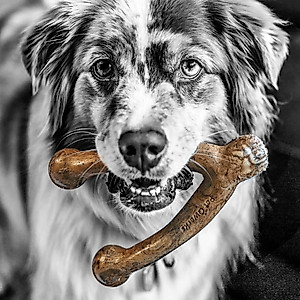 Pet Qwerks Wishbone BarkBone - Nylon Chew Toy for Aggressive Chewers - Bacon Flavor - 8.25"