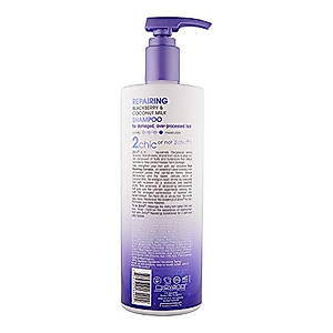 GIOVANNI 2chic Ultra-Repairing Shampoo - For Damaged, Over-Processed Hair, Helps Restore Hair's Natural Elasticity, Blackberry & Coconut Oil, Argan, Shea Butter, Color Safe - 24 oz