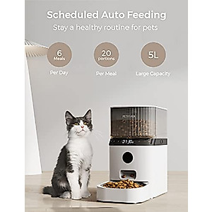 PETVIAGA Automatic Cat Feeders with Timer, 5L Timed Dog Food Dispenser with Desiccant Bag & Stainless Steel Bowl, Auto Pet Feeder for Dry Food with 1-6 Feeding Meals, Portions Control & 10s Recording