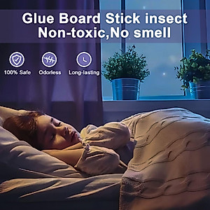 Blue Light Bug Catcher Indoor Plug in, Gnat Traps for House, Indoor Fly Trap for Fruit Moth, Mosquito, Flying Insect Catcher, 4 Device+8 Refills