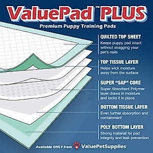ValuePad Plus Puppy Pads, Extra Large 28x36 Inch, 100 Count - Premium Pee Pads for Dogs, Tear Resistant, Super Absorbent Polymer Gel Core, 5-Layer Design