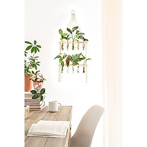 Mkono Wall Hanging Glass Planter with Macrame Hanger, Boho 2 Tier Propagation Tube Vase Plant Terrarium with Wooden Stand for Propagating Hydroponic Plants, Home Office Room Decor Women Gift Idea