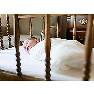 Cotton Organics 100% Organic Jersey Fitted Crib Sheets Soft, Hypoallergenic & Durable Premium Cotton, Natural White for Boys and Girls (White)