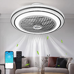 XuanDe Ceiling Fans with Lights and Remote Quiet, 20" Enclosed Ceiling Fans Modern Low Profile DC Motor 6 Gear Wind Speeds 3 Colors of Lights-Silver