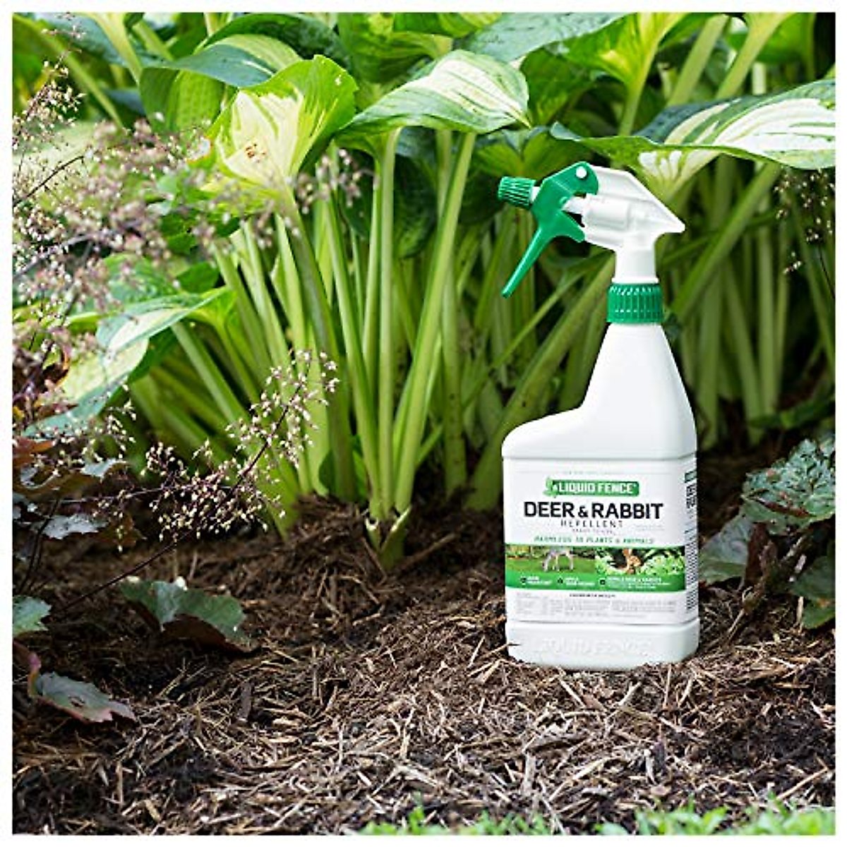 Liquid Fence Deer and Rabbit Repellent, Keep Deer and Rabbits Out of Garden Patio and Backyard, Use on Gardens Shrubs and Trees, Harmless to Plants and Animals When Used & Stored as Directed, 32 fl Ounce