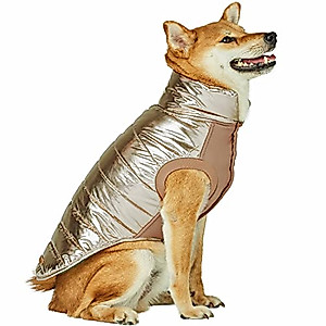 Blueberry Pet 2023 New Cozy & Comfy Windproof Lightweight Quilted Fall Winter Glossy Dog Puffer Jacket in Gold, Back Length 24", Size 22, Warm Coat for Large Dogs