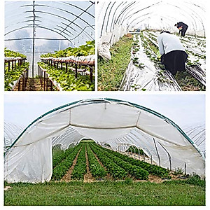 Greenhouse Plastic Film, Clear Green House Sheeting Cover Resistant Film Hoop Transparent Supply Keep Warm for Cold Frost Protector Plant Vegetables Agriculture Garden Horticulture Farms 6.6 x 26.2 FT