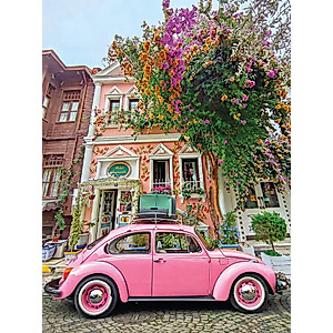 Ceaco - Scenic Photography - Boulevard in Bloom - 300 Piece Jigsaw Puzzle