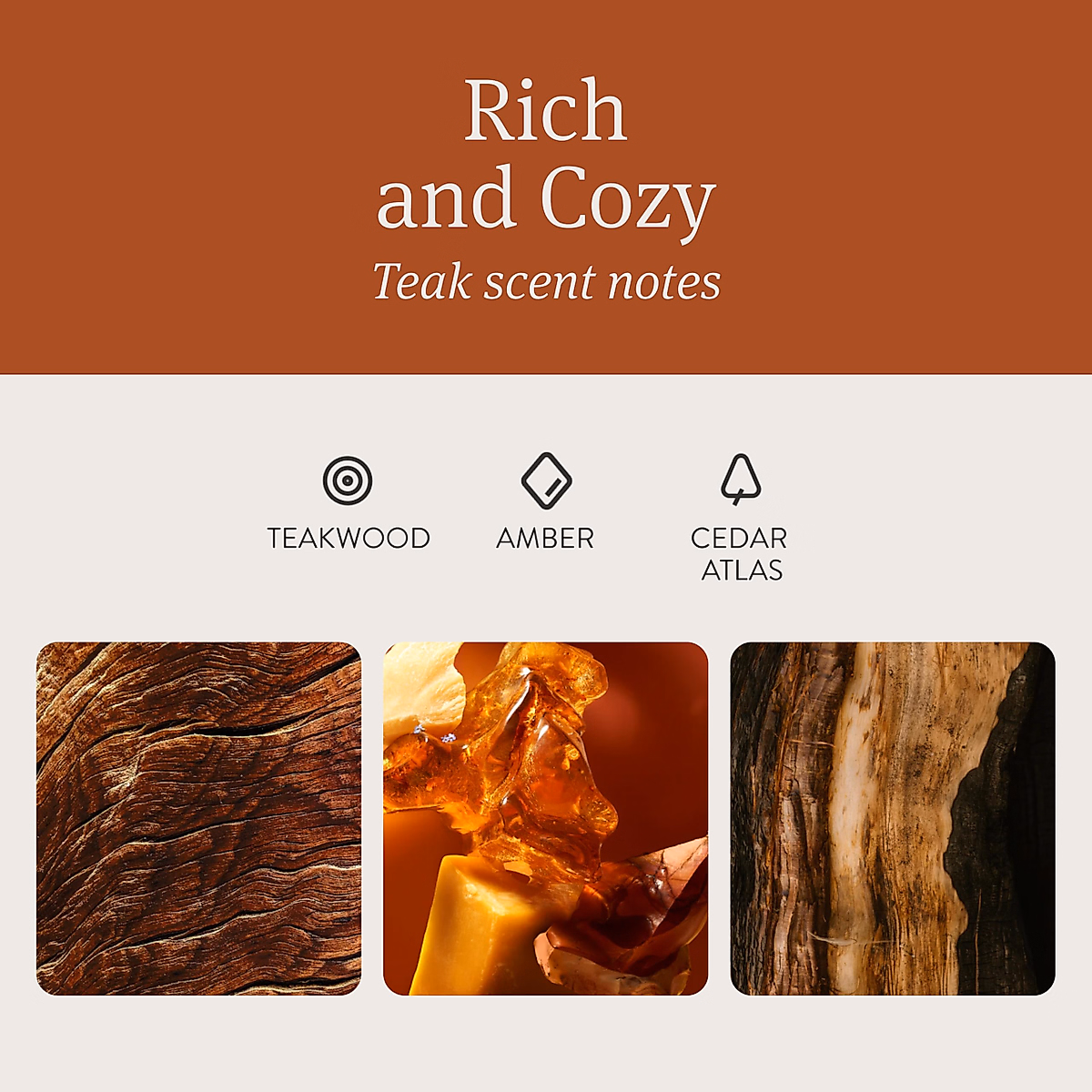 Drift Car Air Freshener - Wood Air Freshener - Car Odor Eliminator - Teak Scent Starter Kit