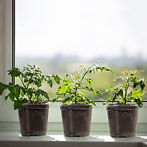 MIXC Clear Plant Nursery Pots with Humidity Dome 4" Soft Transparent Plastic Gardening Pot Planting Containers Cups Planter Small Starter Seed Starting Trays for Seedling with 10pcs Plant Labels