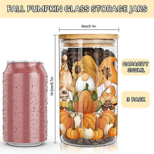 ANOTION Glass Storage Jars with Lids - Fall Gnomes Glass Jars 18oz Glass Food Storage Containers for Kitchen Storage, Pantry, Canning Jars for Storage Cookie, Sugar, Candy, Tea, Coffee, 3 Packs