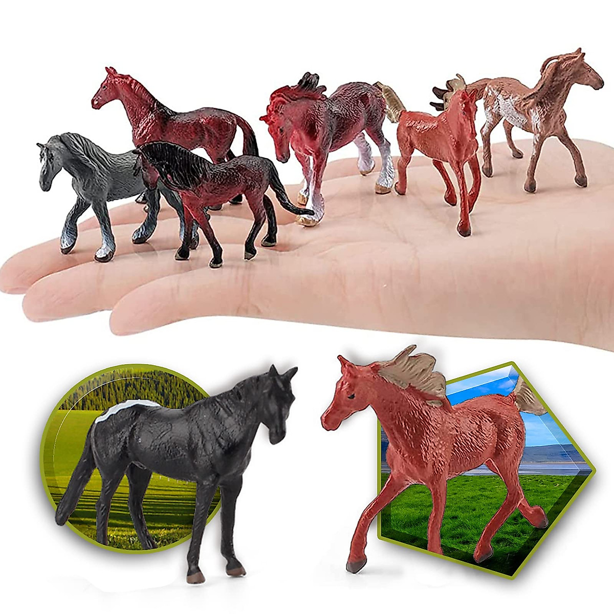 WONWONTOYS 12PCS Realstic Mini Horse Figurines Toy Palyset Arabian Horse Hannover Horse Morgan Stallion Solid Steed Model Set Early Educational Cognitive Toy for Kids