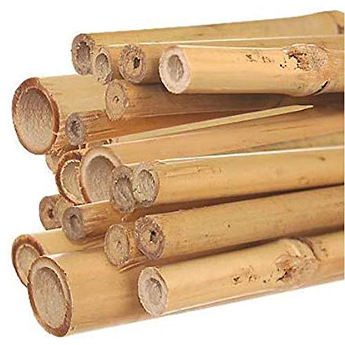GROW!T Hydrofarm HGBB6 6' Natural, Bamboo Stake, Pack of 25, Tan