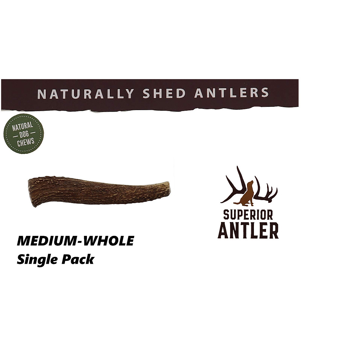 Elk Antlers for Dogs - Medium Size 5-8” All Natural Premium Grade A - Deer Antlers for Dogs, Pets, and Puppies- Dog Antler Chews - Long Lasting - Single Pack
