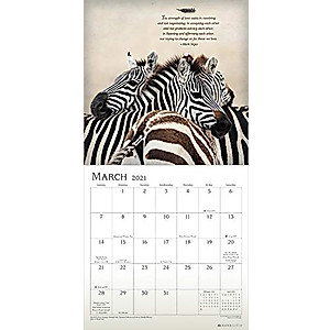 Mark Nepo 2021 Wall Calendar: A Year of Awakening