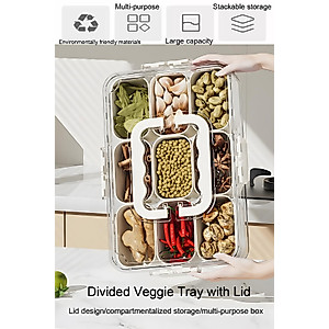 Divided Serving Tray with Lid and Handle - 9 Compartment Snack Box Container Portable Storage Organizer Container for Fruit, Candy, Veggie, Nuts, Spices& Snacks, Perfect for Party, Travel& Picnic