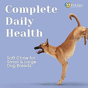 PetJoy - Thrive Daily Multivitamin Soft Chew for Dogs | Energy, Healthy Skin & Coats, and Stronger Bones & Teeth | Complete Daily Health | Pet Vitamins | 60 Count