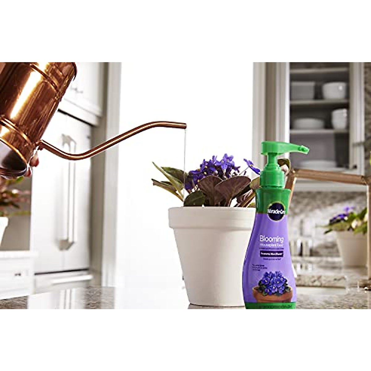 Miracle-Gro Blooming Houseplant Food, Plant Fertilizer, 8 oz. (6-Pack)