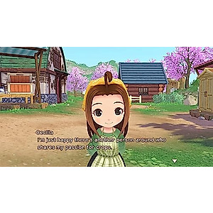 Story of Seasons: A Wonderful Life - Nintendo Switch