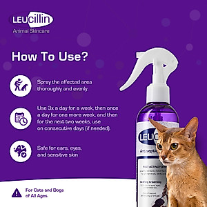Leucillin Natural Antiseptic Spray for Dogs, Soothes Itchy Skin and Promotes Healing, Effective Treatment for Dogs, Wound and Skin Care Solution for Pets, First Aid Kit Essential - 150ml