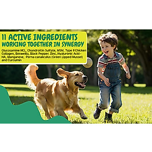 BARKING HUGS Hip and Joint Supplement for Dogs - 500 mg Glucosamine for Dogs per Soft chew - Nature-Based for Maximum Dog Joint Pain Relief - 11 Active Ingredients Support Dog Hip & Joint Care.