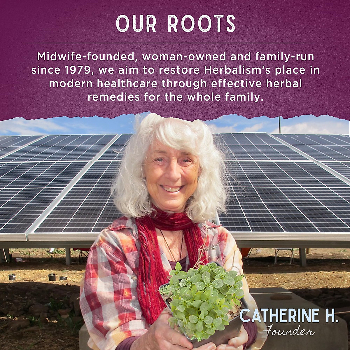 WishGarden Herbs Flow Stopper Lingering Cycle (Wombstringe) - All-Natural Herbal Formula w/Shepherd's Purse & Witch Hazel, Moderates Breatkthrough Bleeding, Blood Flow & Spotting Between Cycles, 2oz