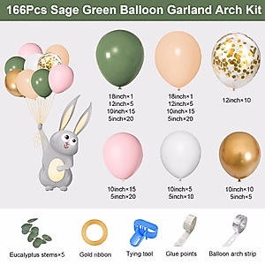 Amandir 166Pcs Sage Green Balloon Garland Arch Kit Olive Green Blush Peach White Gold Balloons Artificial Eucalyptus Stems Jungle Safari Baby Shower Birthday Party Baptism Decorations for Boys Girls