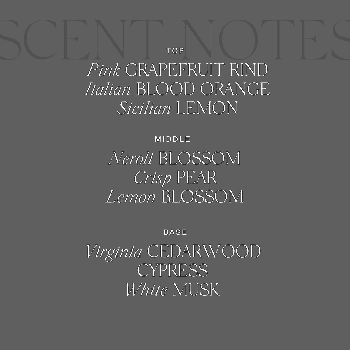 Antica Farmacista Grapefruit Home Ambiance Diffuser, 16.9 Fl Oz