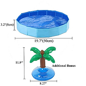Foldable Collapsible Lizard Bathing & Cooling Swimming Pool, Durable Bath Tub, Swimming Bath Water Washer for Bearded Dragons Hedgehog Hamster & Small Animals, Bonus - Bearded Dragon Swim Float