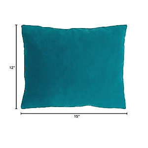 Warner Brothers Space Jam Blue, Orange and Teal Looney Tunes Super Soft Decorative Throw Pillow