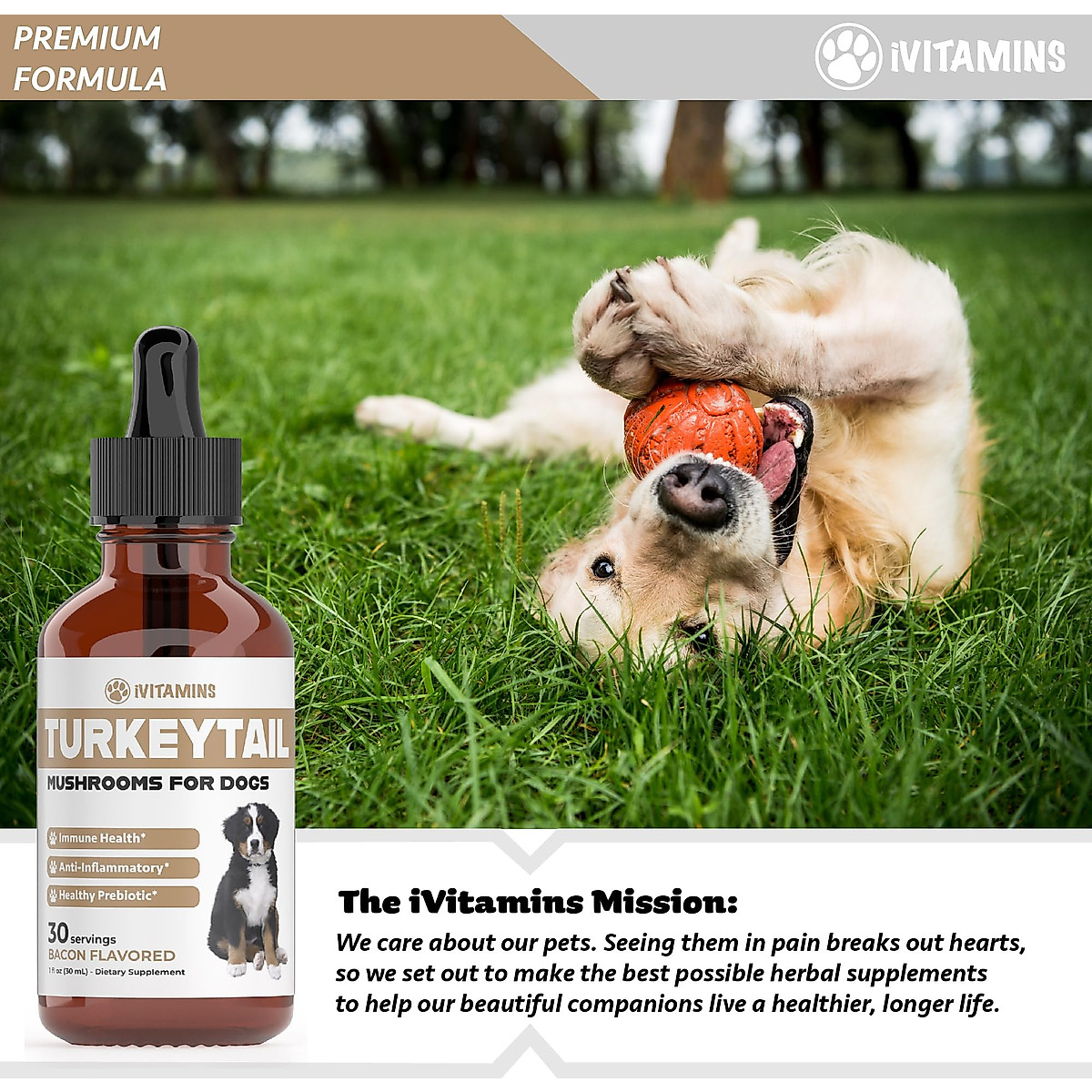 Turkey Tail Mushroom for Dogs | Helps to Boost the Immune System, is a Healthy Prebiotic, & Much More | Turkey Tail for Dogs | Mushrooms for Dogs | Dog Mushroom Supplements | 1 fl oz