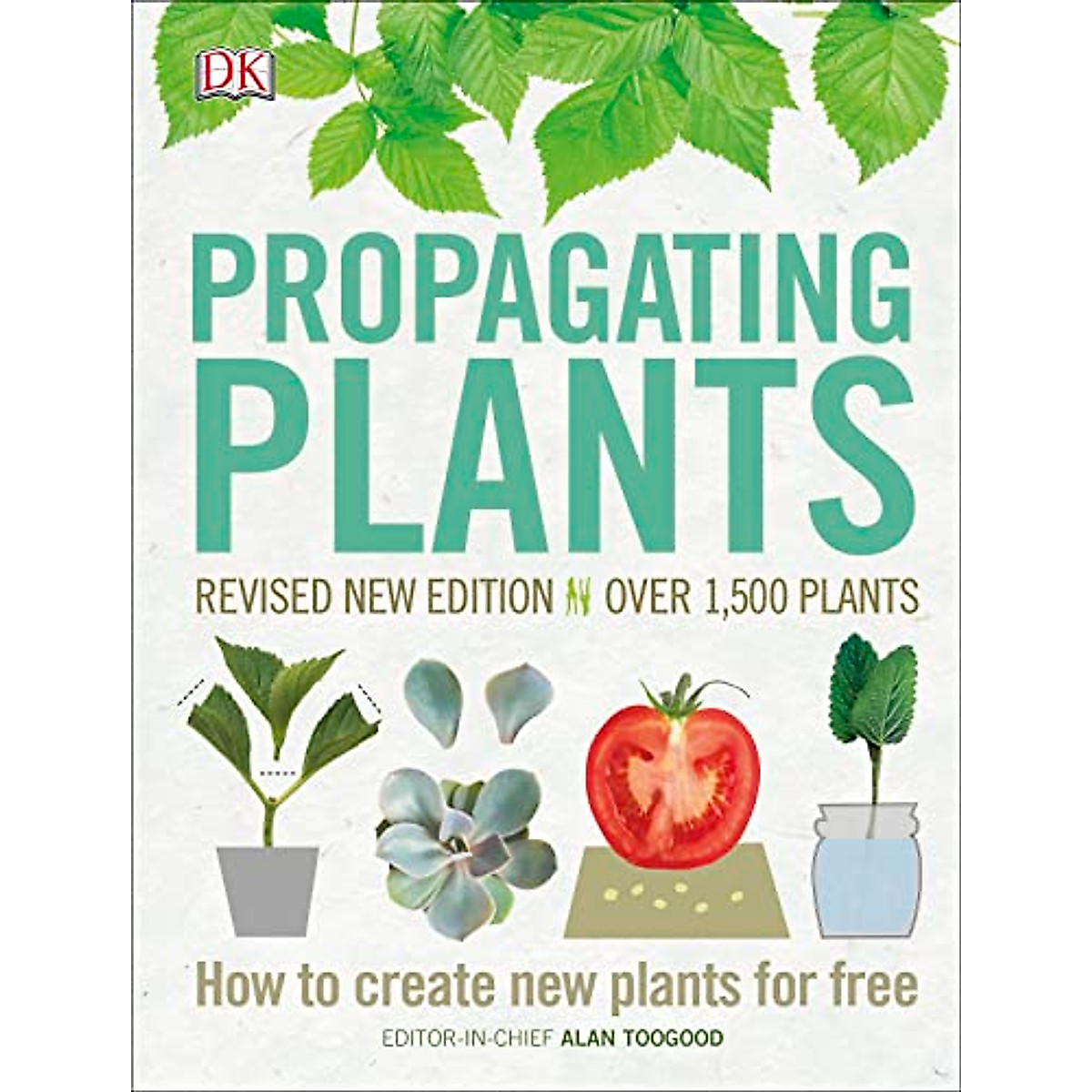 Propagating Plants: How to Create New Plants for Free