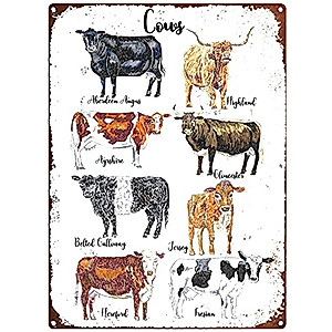 Metal Tin Signs Vintage Metal Sign Letters Cow Breeds Print, Cow Print, Cow Metal Sign, Cattle Breeds, Farm Animals Personalized Metal Signs for Home Decor