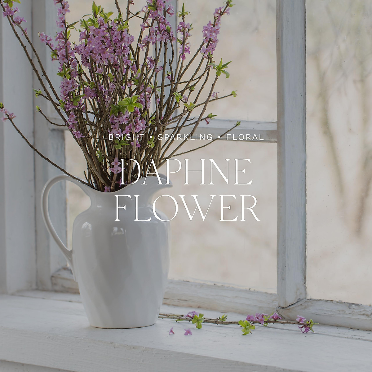 Antica Farmacista Room Spray, Daphne Flower 3.4 Fl Oz