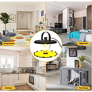 Redeo Flea Trap Refills Discs 8 PCS Sticky Pad Refills 6 Inch Natural Glue Board Replacement for Fleas Bugs, Odorless and Safe for Family and Pets