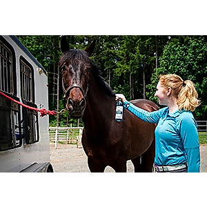 ECOVET Horse Fly Spray Repellent/Insecticide (Made with Food Grade Fatty acids), 18 oz