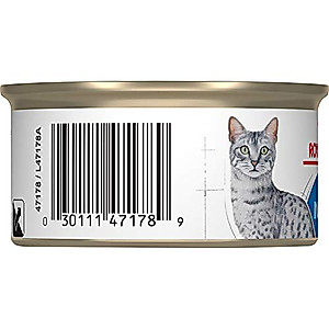 Royal Canin Adult Feline Health Nutrition Morsels in Gravy Cat Food for Indoor Cats, 3 oz cans 24-ct