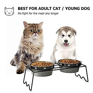 Y YHY Raised Dog Cat Bowls, Elevated Dog Cat Bowls 24oz, Ceramic Dog Cat Bowls for Food and Water, Pet Bowls for Cats and Small Dogs, Prevent Neck Pain, Anti Slip Feet, Grey