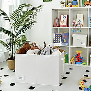 GRANNY SAYS Bundle of 1-Pack Shelf Organizer for Closet & 1-Pack Extra Large Rectangle Storage Bin