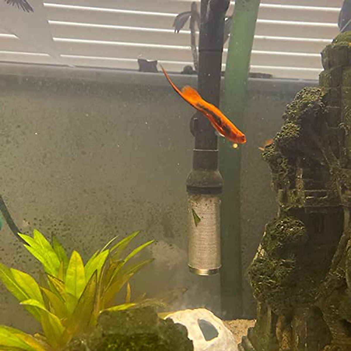 Bilindasly 16mm Stainless Steel Aquarium Inflow Inlet Filter Aquarium Filter Intake Cover Fish Shrimp Mesh Net Filter Guard Fish Tank Intake Strainer Cover