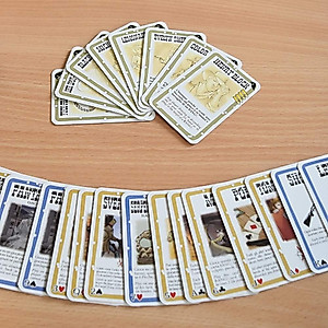 Da Vinci Bang!: The Valley of Shadows Expansion Card Game