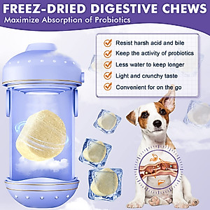 Probiotics for Dogs, Freeze-Dried Dog Probiotics and Digestive Enzymes, Plus Omega-3 for Itchy Skin, 3-in-1 Prebiotics for Digestive Health, Dog Vitamins and Supplements for Immune Health, 117 Bites