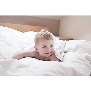 ACS Bedding Luxury Soft 1500 Thread Count Heavy Egyptian Cotton Solid Pattern 3-PCs Duvet Cover Set with Zipper Closure (Full/Queen, Gold)