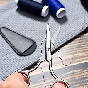 HITOPTY Small Facial Hair Scissors, Straight Tip Grooming Scissors for Eyebrows, Beard, Ear, Nose, Moustache Trimming Snips Beauty Kit with PU Case 3.5inch Stainless Steel