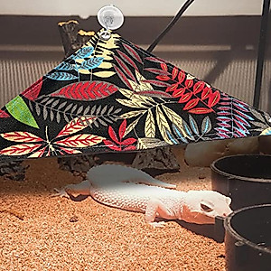 ＫＬＫＣＭＳ Reptile Hammock Lounger Ladder Bearded Dragon Hammock Accessories for Bearded Geckos Lizards Reptile, Black S