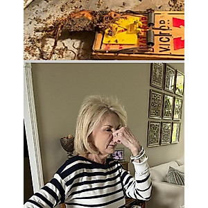 Mouse Trap Alert - No more unpleasant smells in your home because of decaying mouse, you are alerted when the mouse trap is triggered