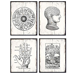 Astrology, Zodiac, Occult, Tarot, Palmistry, Wiccan Decoration - Vintage Rustic Sign Plaque Photo Prints - Unique Goth Gothic Steampunk Gift for Psychics - Mystical Arts Aesthetic Room Decor Set of 4