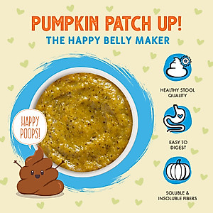 Weruva Pumpkin Patch Up! Pumpkin Pouches for Dogs & Cats